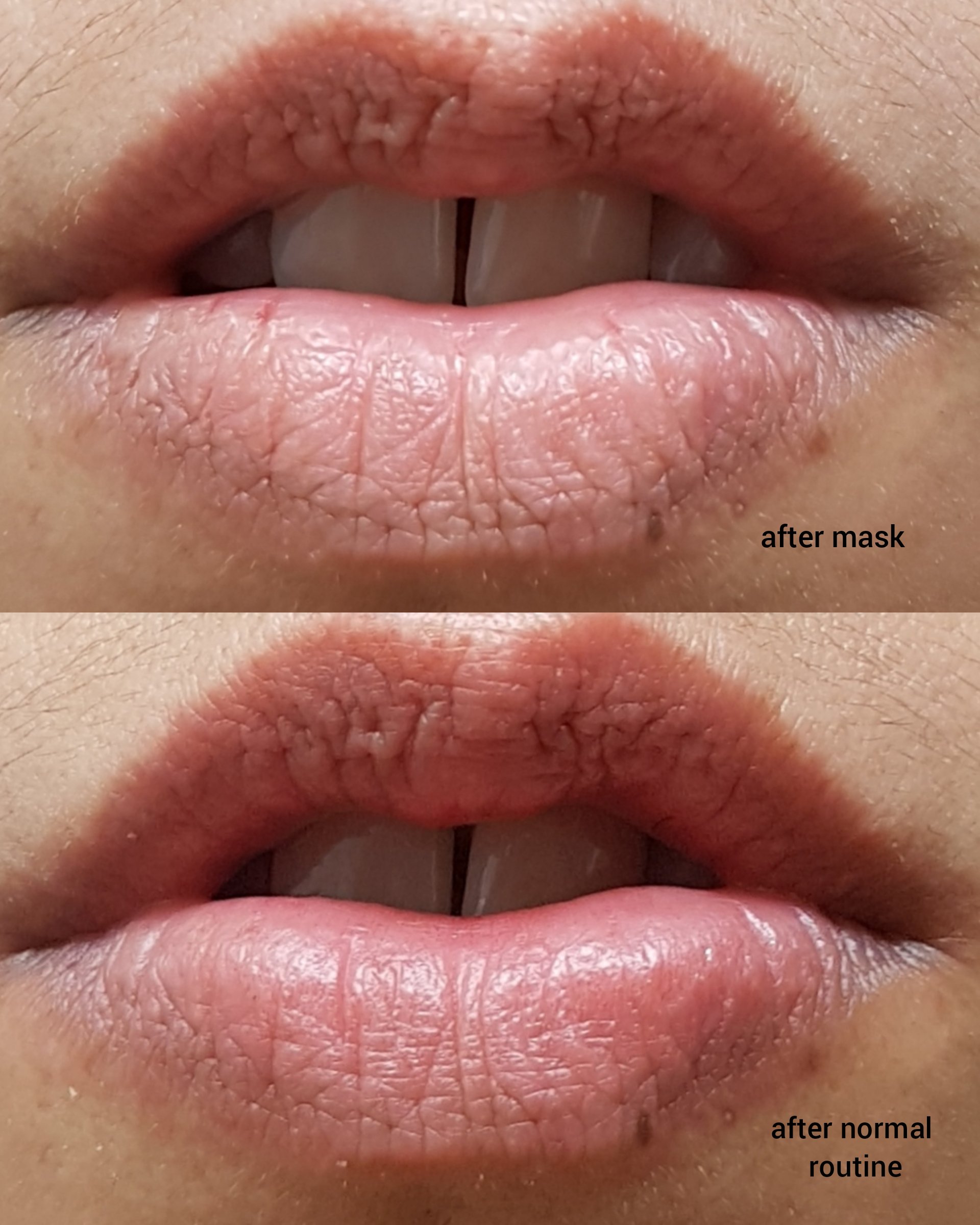 Laneige Lip Sleeping Mask Review | Raiyne On Beauty